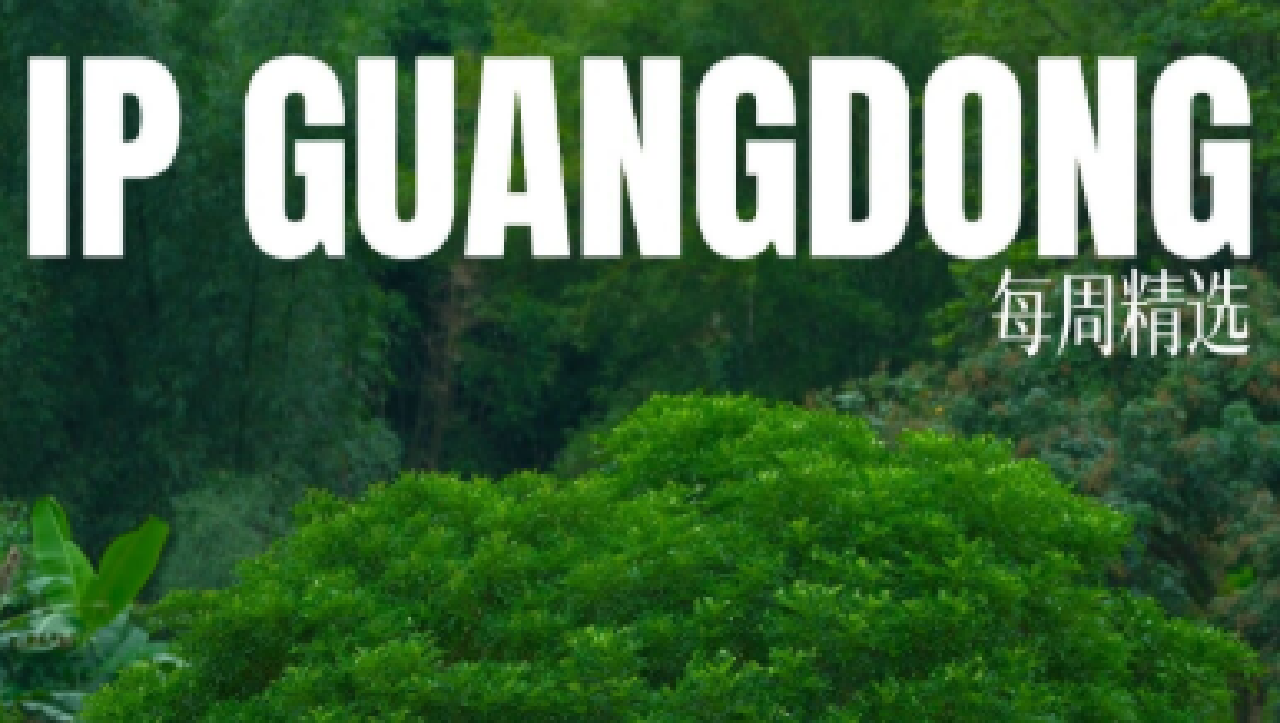 IP GUANGDONG